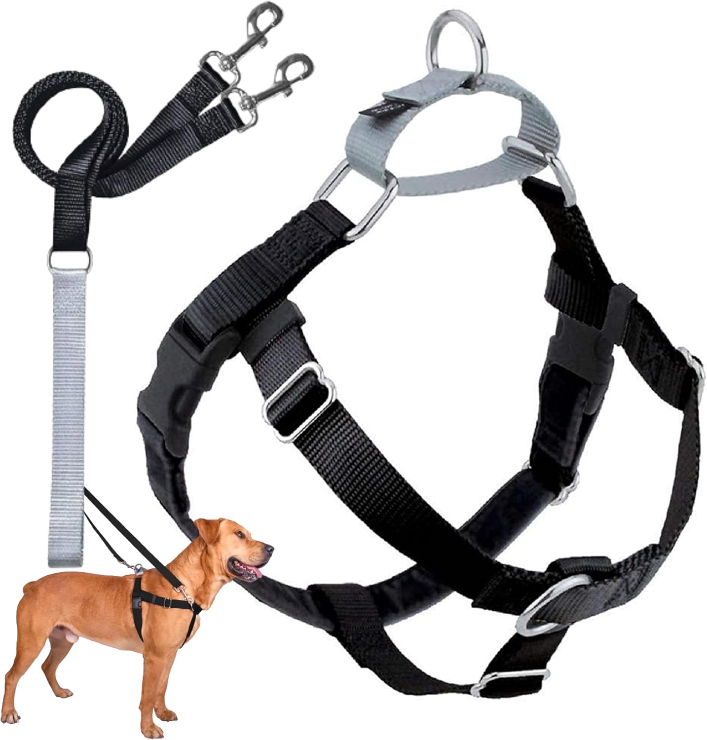 11 Best Dog Car Harnesses in 2025 (Crash-Tested & Vet-Approved) - Puppy ...