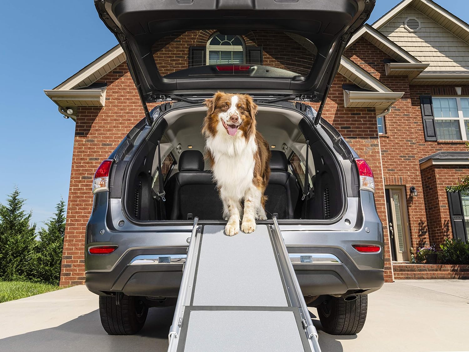 11 Best Dog Car Harnesses in 2025 (Crash-Tested & Vet-Approved) - Puppy ...